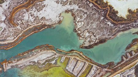 Bosten Lake becomes a natural palette in spring in NW China - CGTN