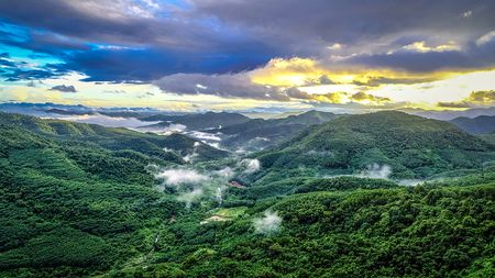 Take a visual tour of China's beautiful forests in all seasons - CGTN