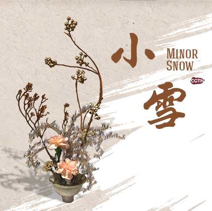 Minor Snow: Snowflake-like flowers charm in winter - CGTN