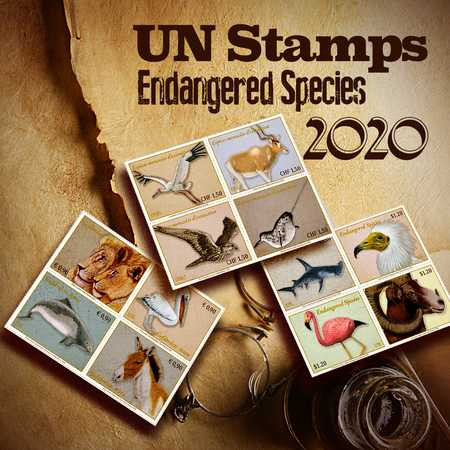 UN issues stamps featuring endangered migratory species - CGTN