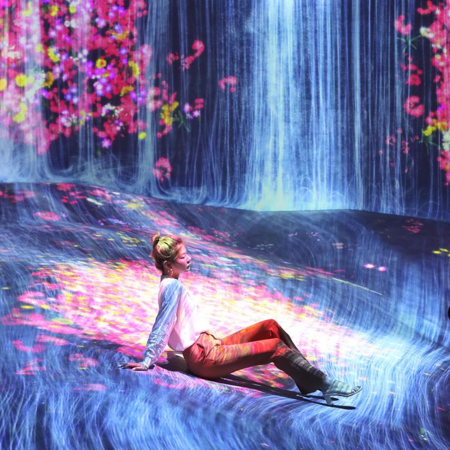 teamLab Borderless Shanghai to open in November - CGTN