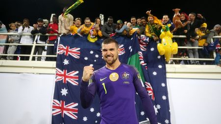 Ryan to donate A$500 for every Premier League save to bushfire fund - CGTN