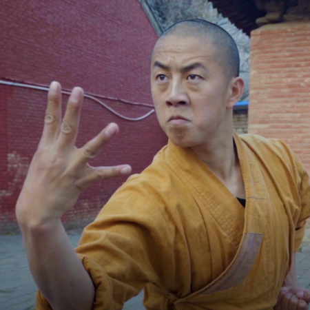 One of the traditional Shaolin fists: Changhuxinyimen fist - CGTN