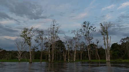 Brazil launches military operations to protect Amazon rainforest - CGTN