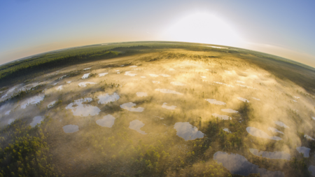 Wetlands: World's most biologically diverse ecosystem - CGTN