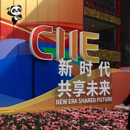 Live: What results did the 2nd CIIE achieve? - CGTN
