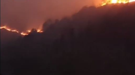 19 killed in forest fire in SW China's Sichuan - CGTN