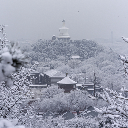 Capital in snow! Beijing welcomes 2020's first snowfall - CGTN
