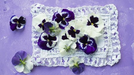 Pansy: Colorful flower that has 'faces' on petals - CGTN