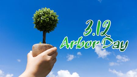 Arbor Day: Say thanks to these silent friends - CGTN