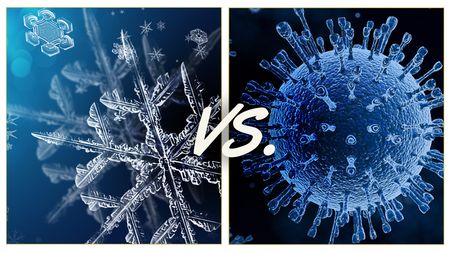 Snow vs. virus: Can snow freeze the coronavirus? - CGTN