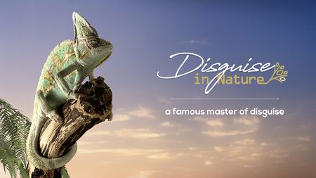 Disguise in Nature: A famous master of disguise - CGTN
