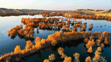 Huludao oasis welcomes late autumn in NW China - CGTN