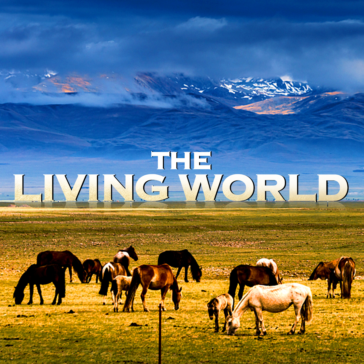 THE LIVING WORLD