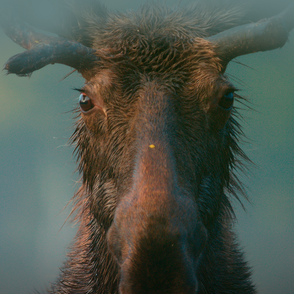 Hanma Series - Journeys in Nature | CGTN