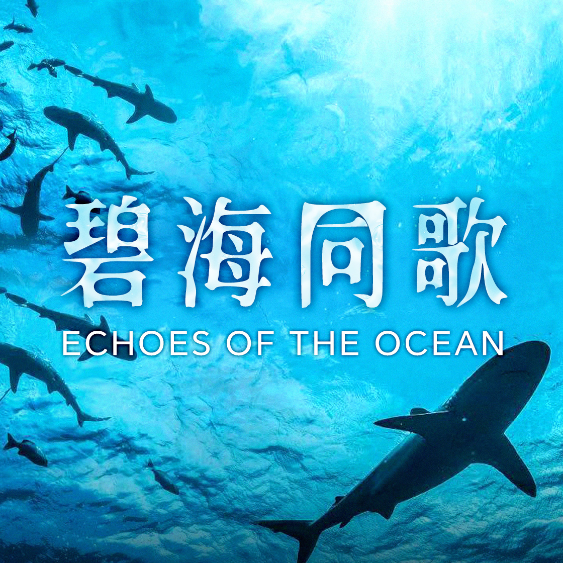 Echoes of the Ocean