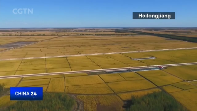 Harvest Season: Splendid scenes brought on by ripe crops across China ...