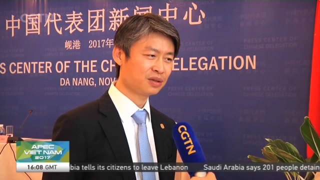 APEC 2017: Interview with APEC-China Business Council secretary-general ...