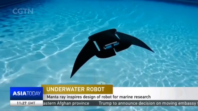 Underwater Robot: Manta ray inspires design of robot for marine ...
