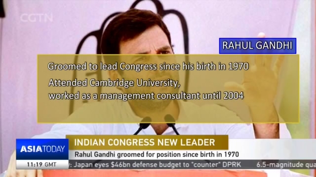 Indian Congress New Leader: Rahul Gandhi groomed for position since ...